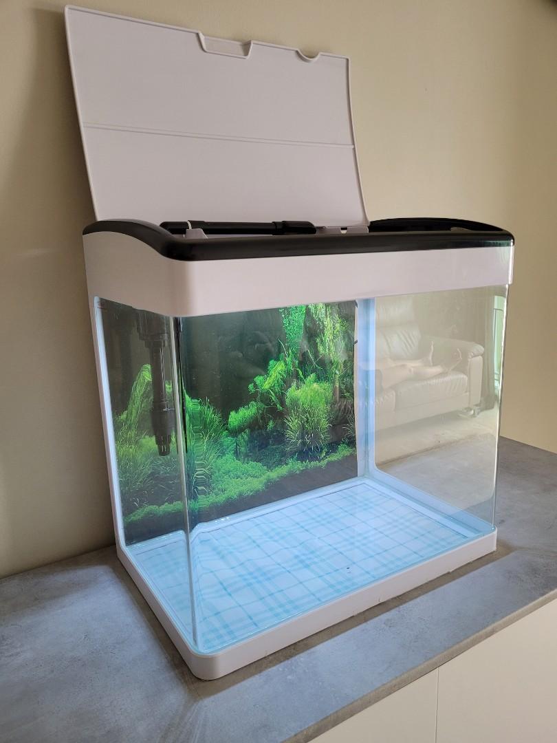 Fish Tank - All In One Set, Everything Else on Carousell