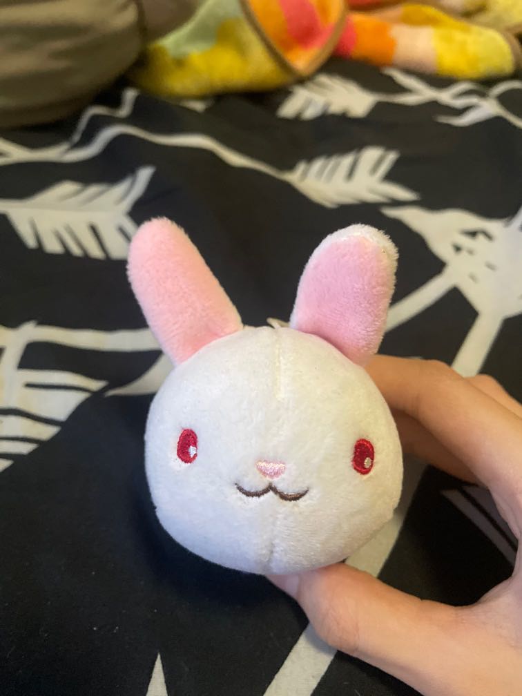 Super cute small rabbit plush, Everything Else on Carousell