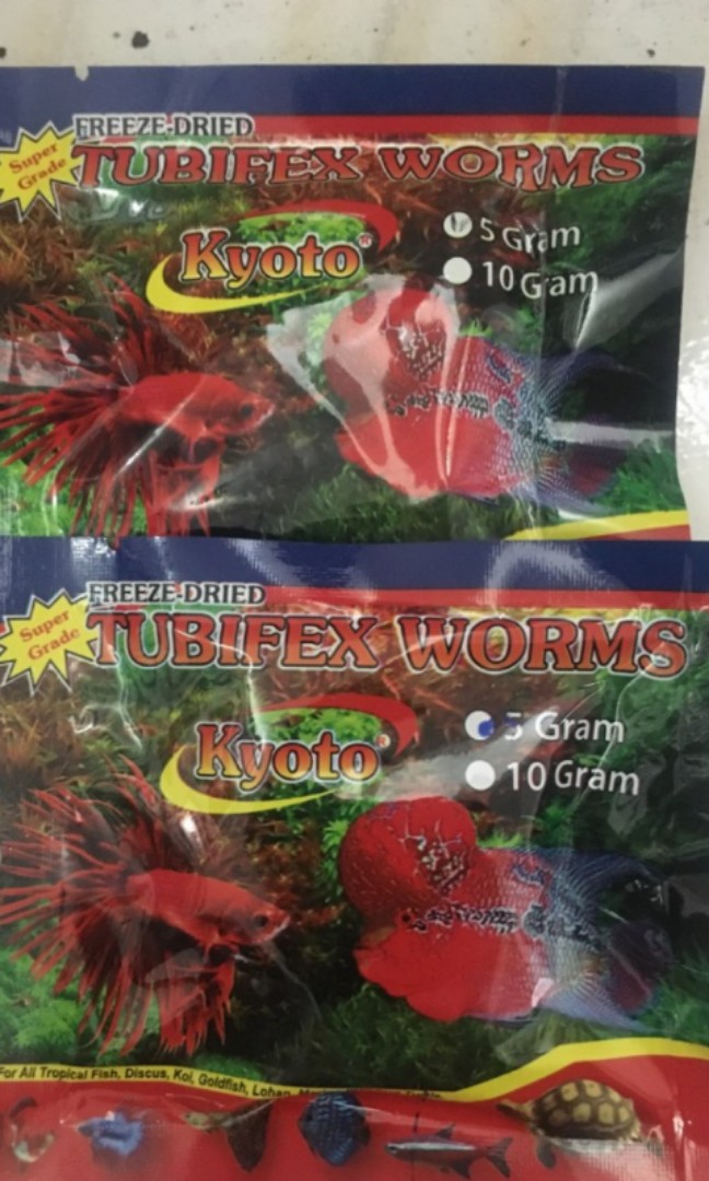 tubifex worms Kyoto cacing kering caker pakan ikan, Perlengkapan Hewan ...