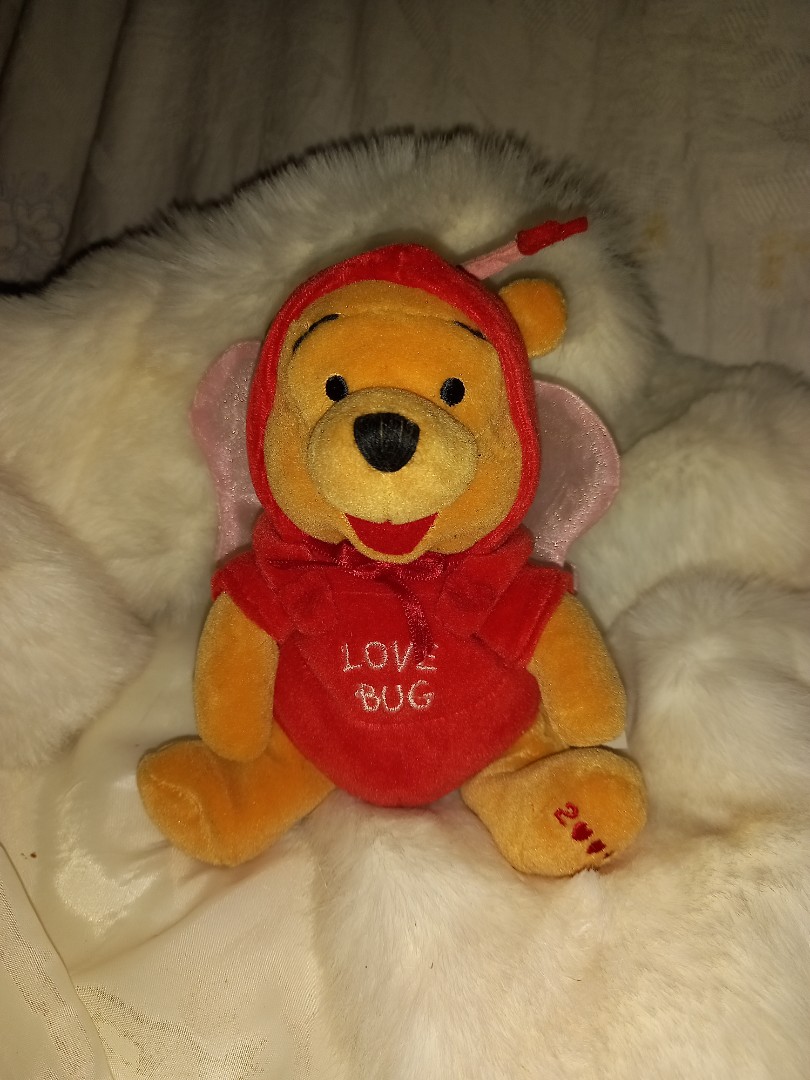 Winnie the Pooh Bear Love Bug, Hobbies & Toys, Toys & Games on Carousell
