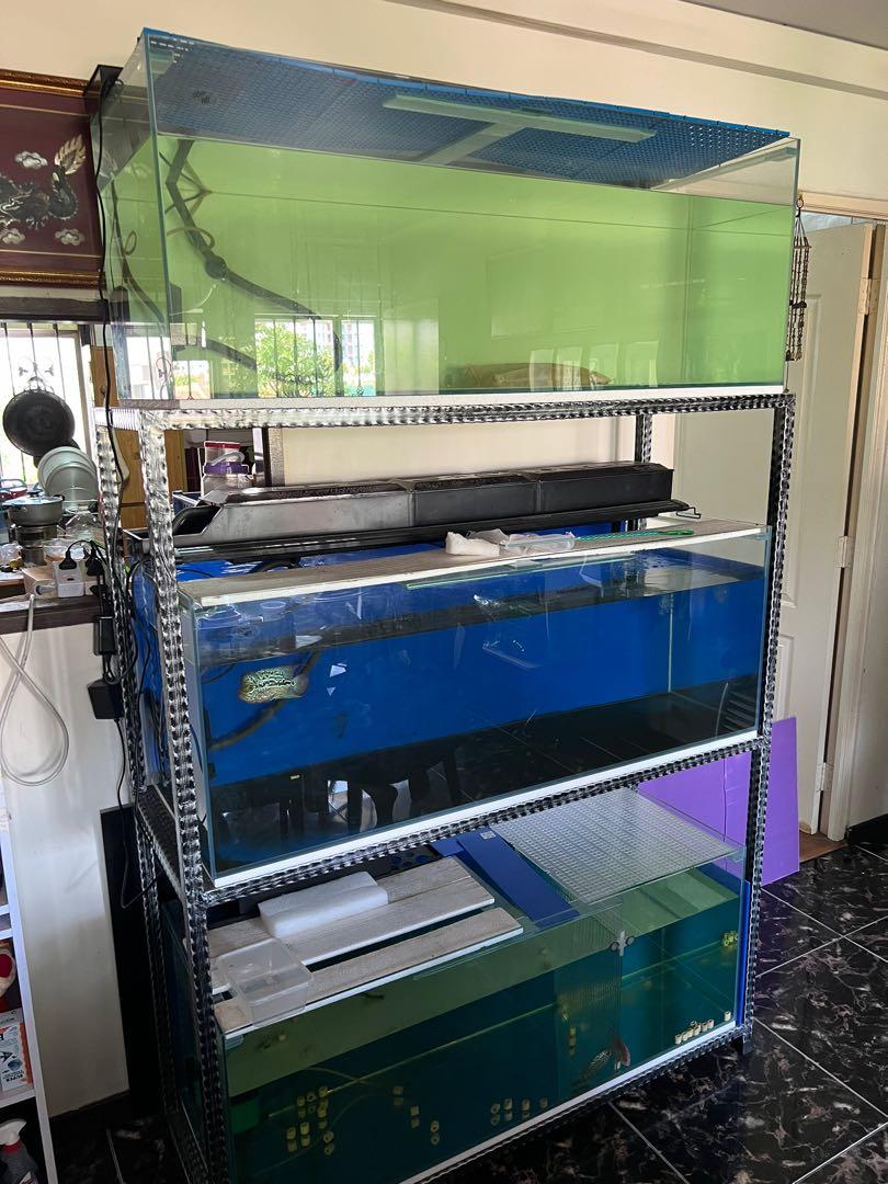 4 feet fish tank (4-1.5-1.5), Pet Supplies, Homes & Other Pet ...