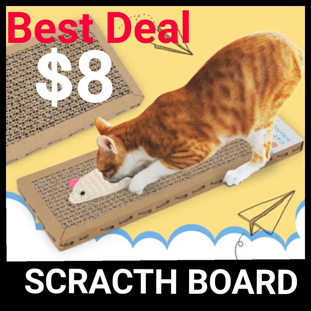 Cat Scracther Kitten Scratching Reduce Stress Cat Play toy can put ...