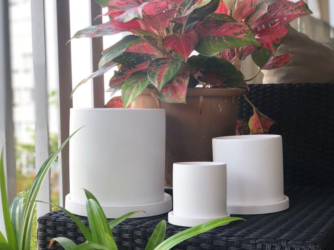 Simple Plant Pots, minimalist, scandi style, Furniture & Home Living ...