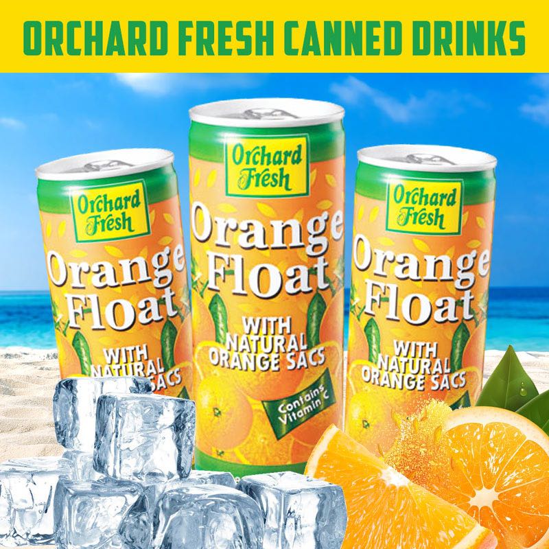 Orchard Fresh Orange Float, Food & Drinks, Beverages on Carousell