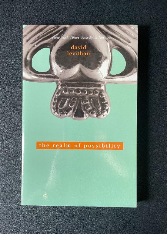 The Realm of Possibility by David Levithan, Hobbies & Toys, Books ...