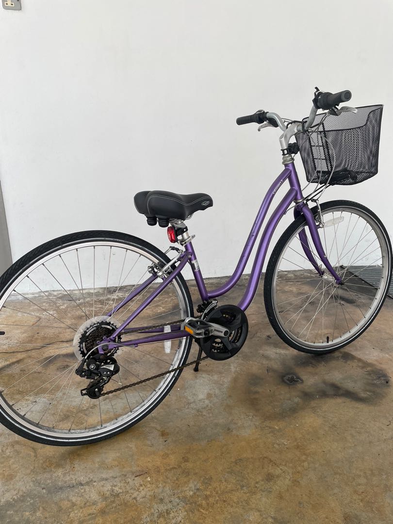 Jamis Citizen 1 Steel City Bike, Sports Equipment, Bicycles & Parts ...