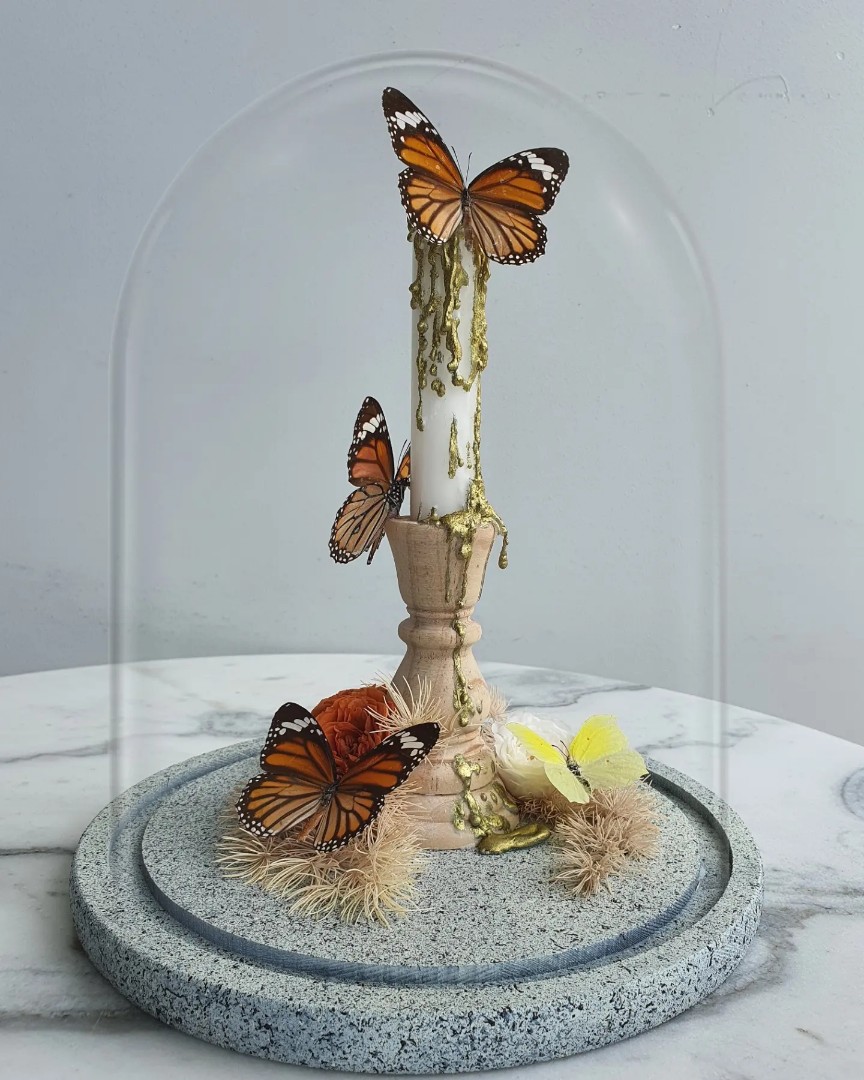 Butterfly dome melted candle, Furniture & Home Living, Home Decor ...
