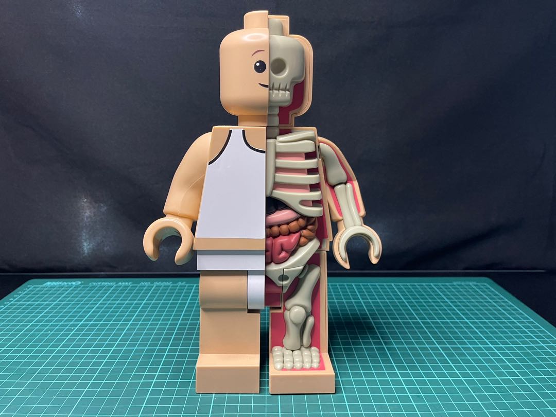 JASON FREENY MICRO ANATOMIC by Mighty Jaxx, Hobbies & Toys, Memorabilia ...