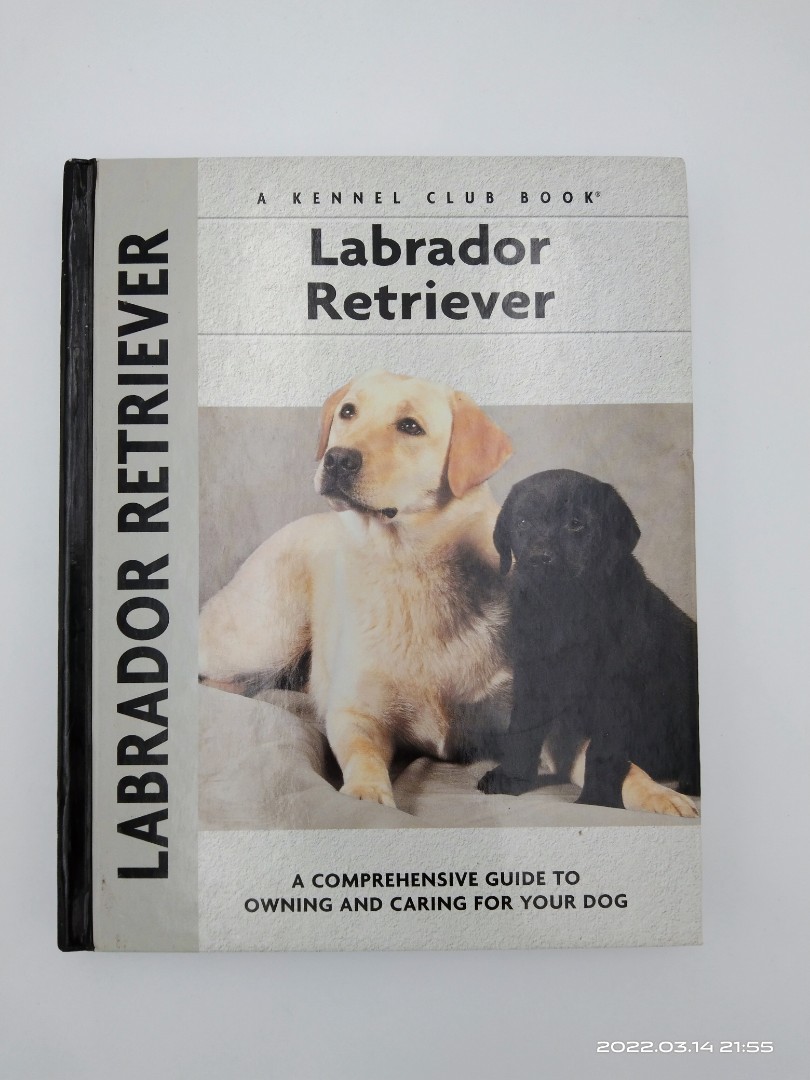Labrador Retriever A Comprehensive Guide to Owning and Caring for Your ...