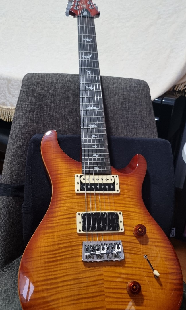 PRS SE Custom 7 String, Hobbies & Toys, Music & Media, Musical ...