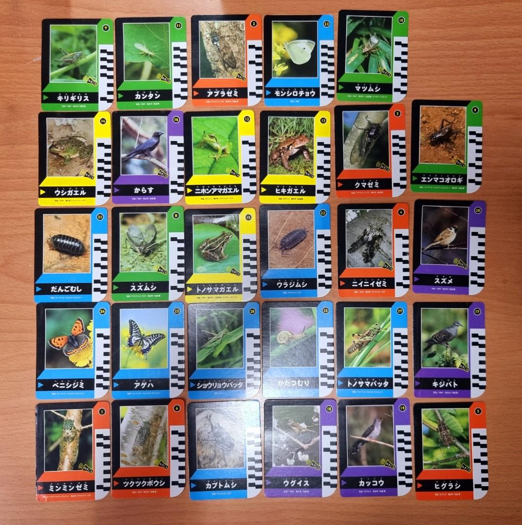 Benesse Cards with Card Holder, Hobbies & Toys, Memorabilia ...