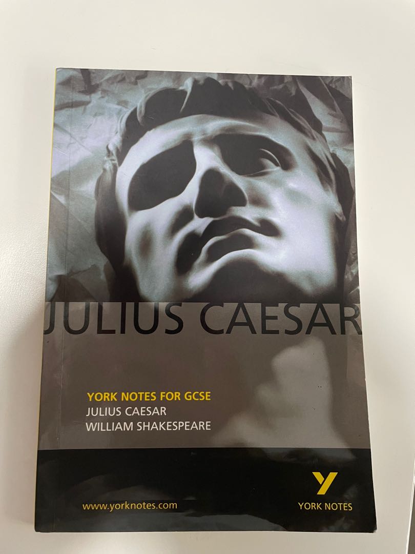 julius caesar notes for literature, Hobbies & Toys, Books & Magazines ...