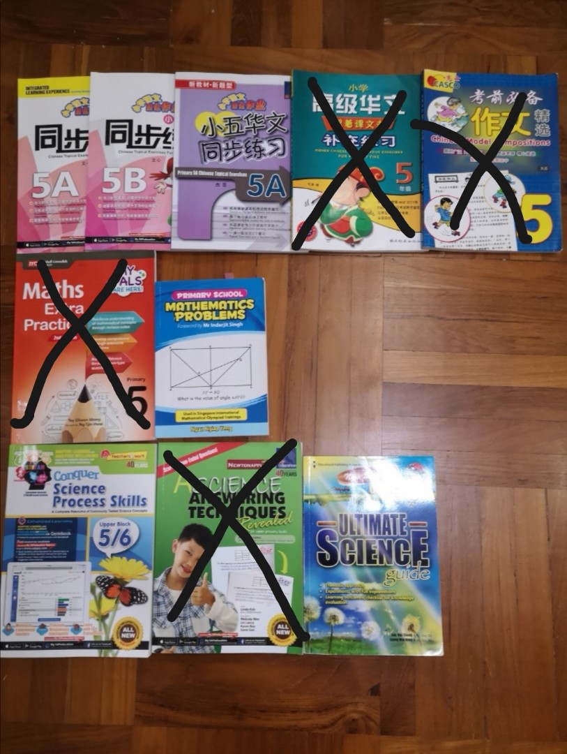 *PRICE REDUCED* P5 Chinese Mathematics and Science Assessment Books ...