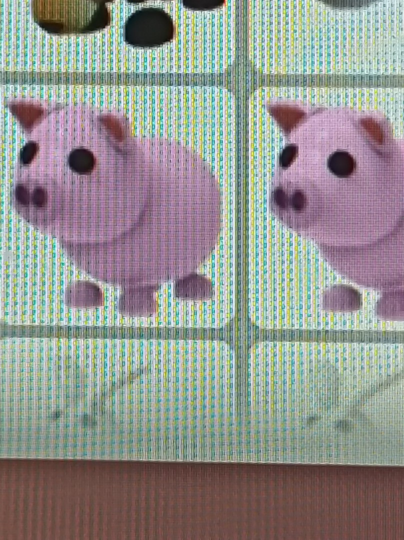 Pig adopt me, 電子遊戲, 遊戲機配件, 遊戲週邊商品 - Carousell