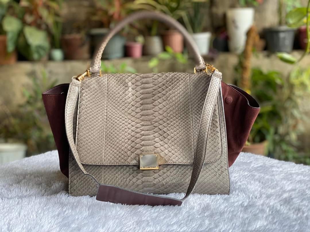 Sale!!! Celine Trapeze Python ,no Inclusion, Luxury, Bags & Wallets on ...