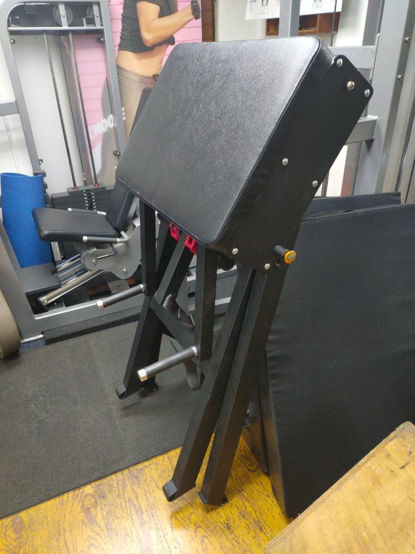 Scout reverse hyperextension machine, Sports Equipment, Exercise ...