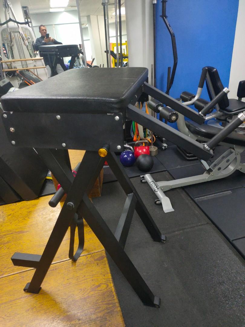 Scout reverse hyperextension machine, Sports Equipment, Exercise ...