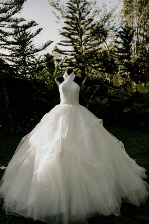 Jazel Sy wedding gown, Women's Fashion, Dresses & Sets, Evening dresses ...