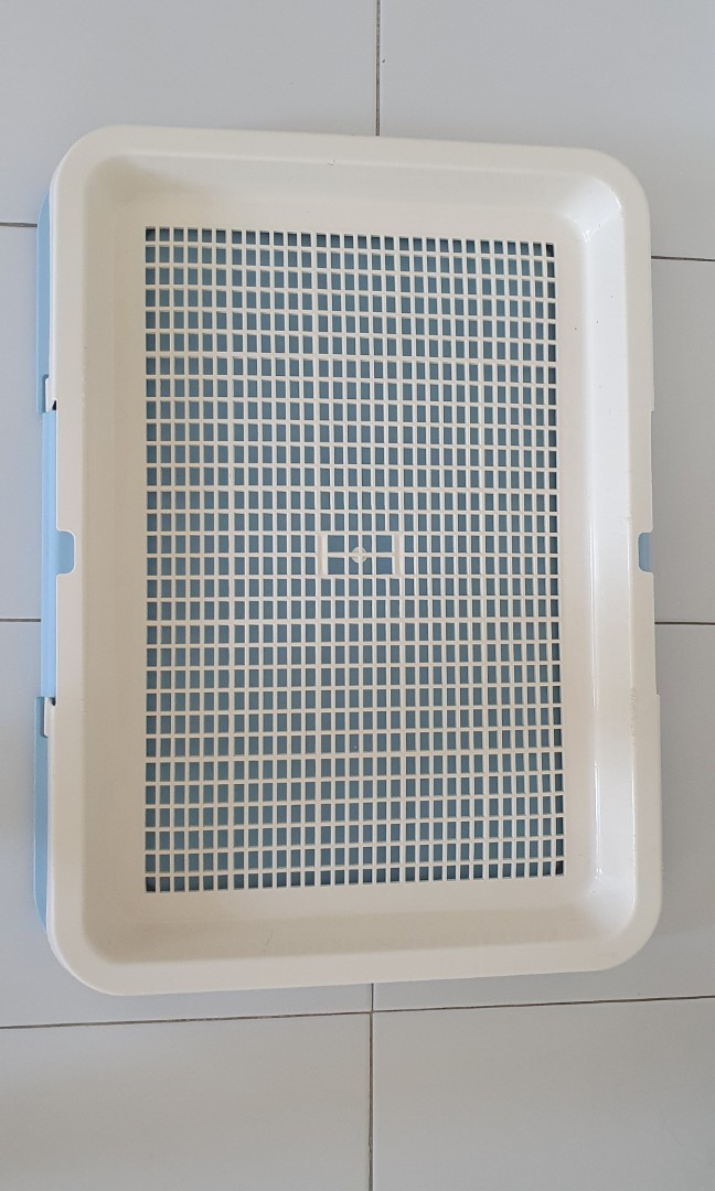 Pee / poop tray, Pet Supplies, Homes & Other Pet Accessories on Carousell