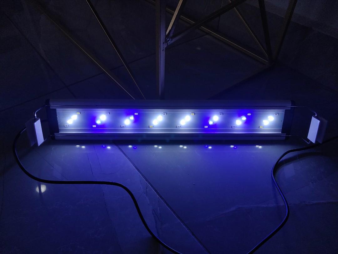 SOBO Aquarium LED Light, Pet Supplies, Homes & Other Pet Accessories on ...