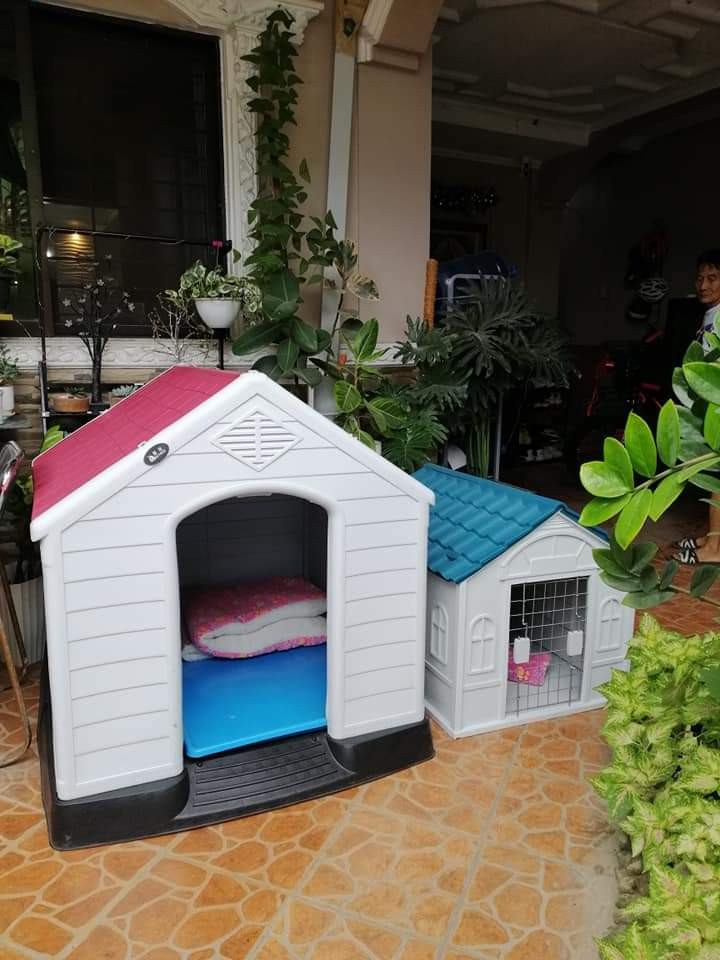 Weatherproof dog house no door, Pet Supplies, Homes & Other Pet ...
