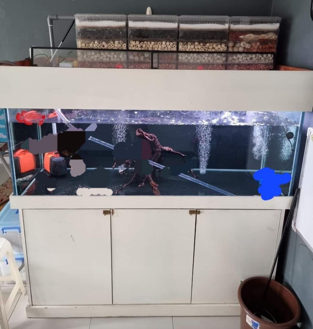 5 feet fish tank, Pet Supplies, Homes & Other Pet Accessories on Carousell