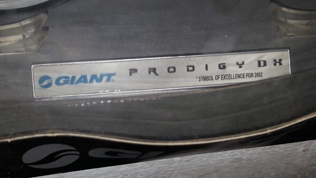 全新絕版 GIANT 捷安特 2002 PRODIGY DX 限量模型 1:10, 體育器材, 自行車及配件, 單車在旋轉拍賣