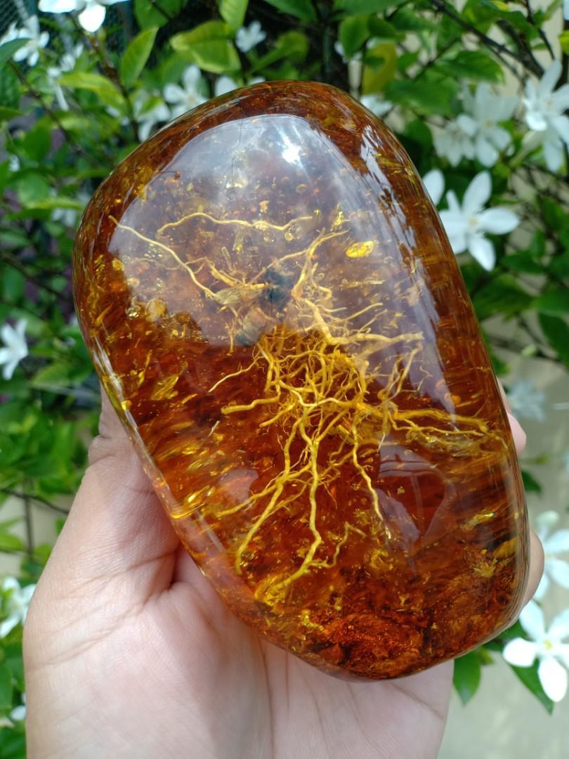 Amber with Insect and Roots, Hobbies & Toys, Memorabilia & Collectibles ...