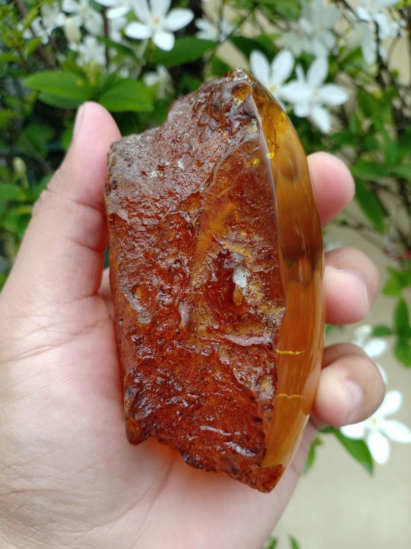 Amber with Insect and Roots, Hobbies & Toys, Memorabilia & Collectibles ...