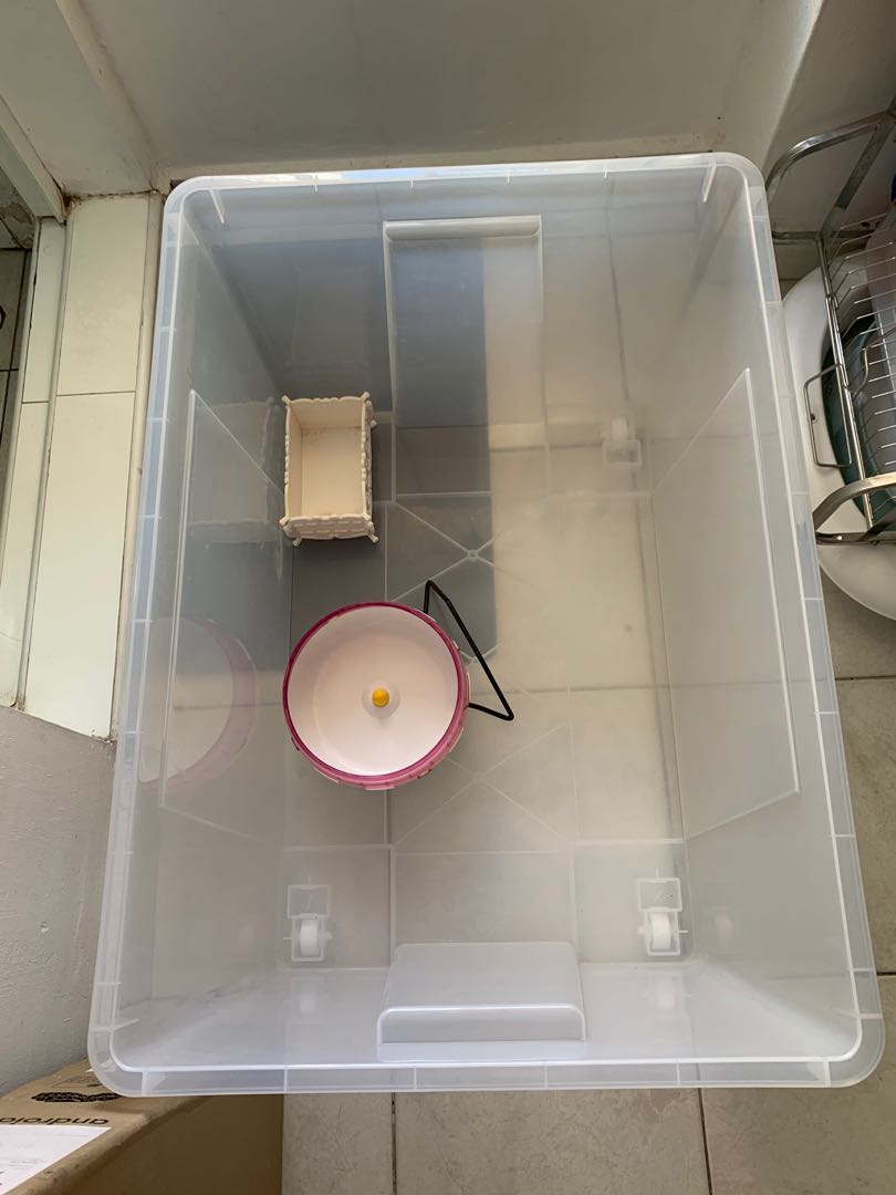 Hamster Ikea Samla Bin Cage (No lid), Pet Supplies, Homes & Other Pet ...