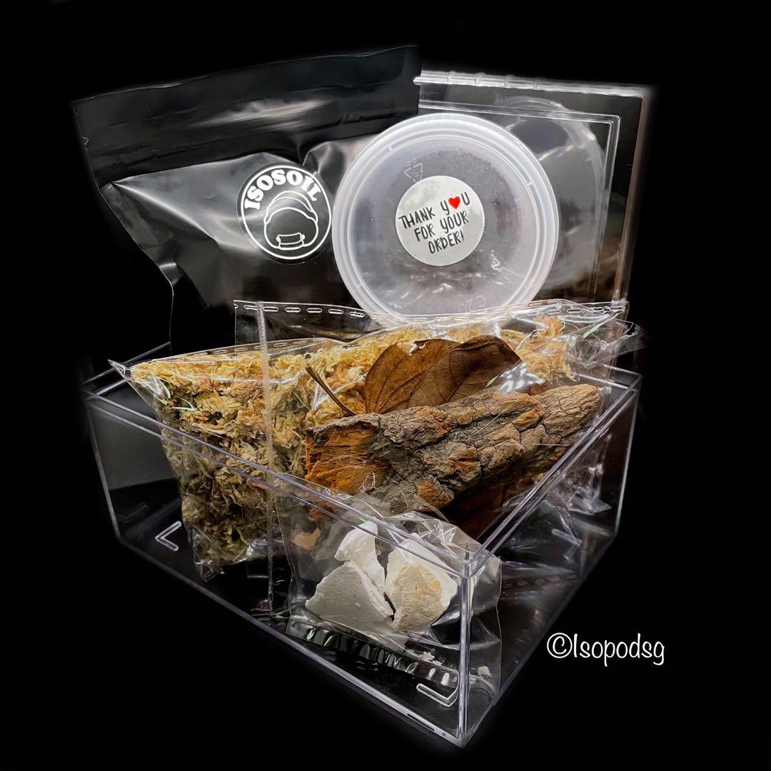 Isopod Mini Setup Kit (Clear), Pet Supplies, Homes & Other Pet ...