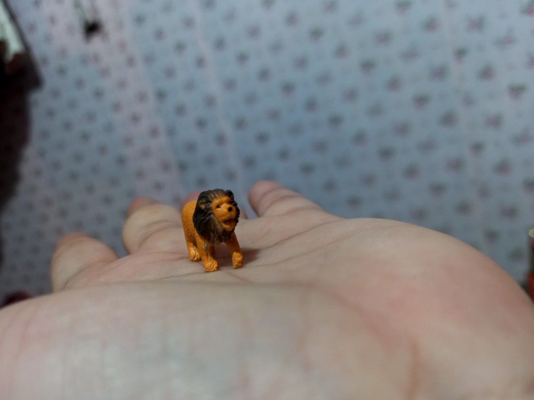Miniature Lion, Hobbies & Toys, Toys & Games on Carousell
