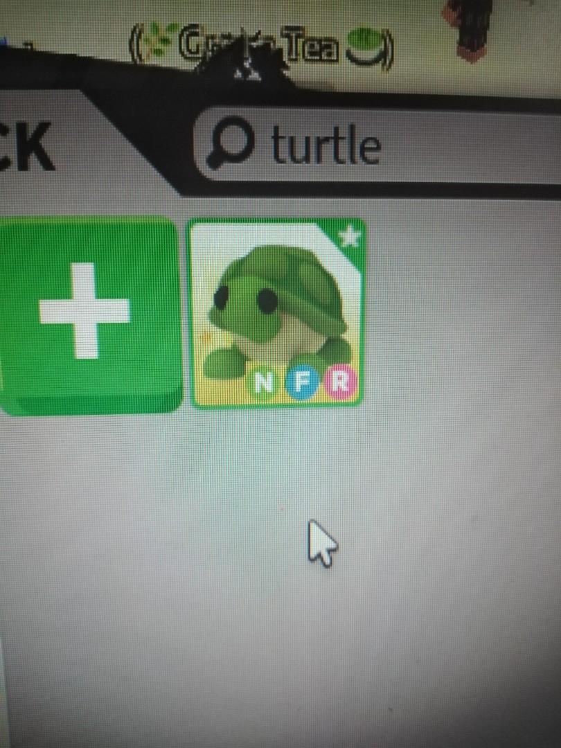 NFR TURTLE ( ADOPT ME), Hobbies & Toys, Toys & Games on Carousell