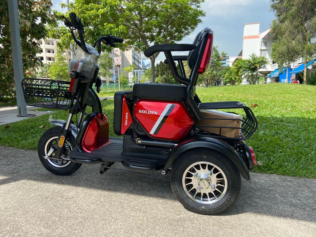 mini PMA -golden 48v20ah, Sports Equipment, PMDs, E-Scooters & E-Bikes ...