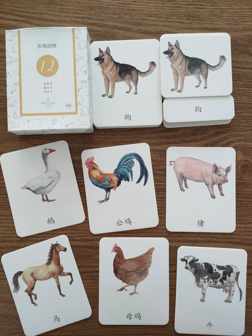 Montessori three part flashcards chinese, Hobbies & Toys, Toys & Games ...