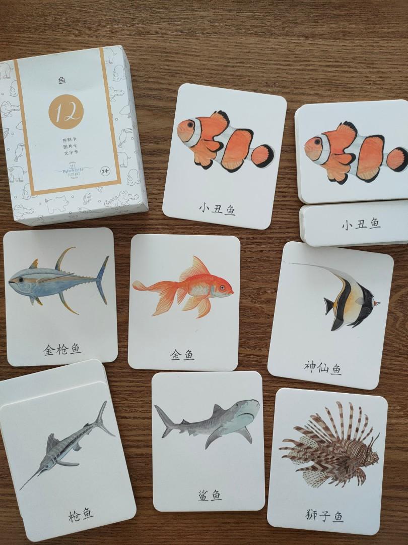 Montessori three part flashcards chinese, Hobbies & Toys, Toys & Games ...