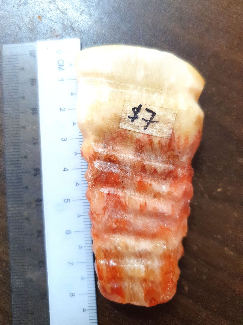 PORK MEAT STONE 猪肉石, Everything Else on Carousell