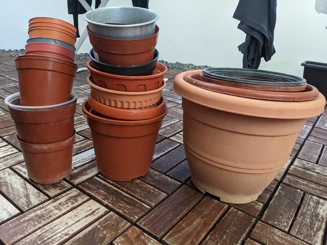 Used Pots for Sale, Furniture & Home Living, Gardening, Pots & Planters ...