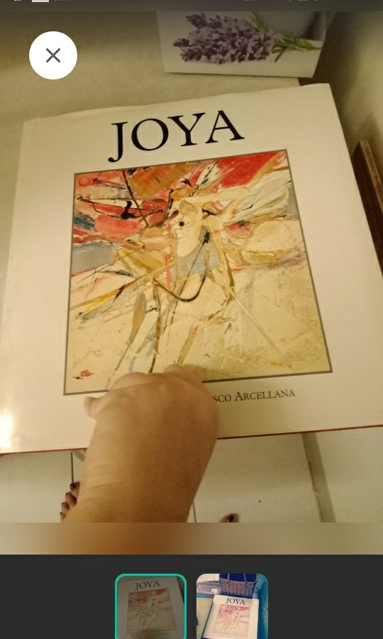 Coffee Table Joya Book #2 and #3 and Joya plates, Hobbies & Toys ...