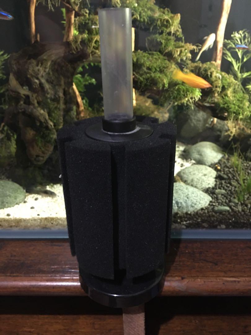 Large Sponge Filter, Pet Supplies, Homes & Other Pet Accessories on ...