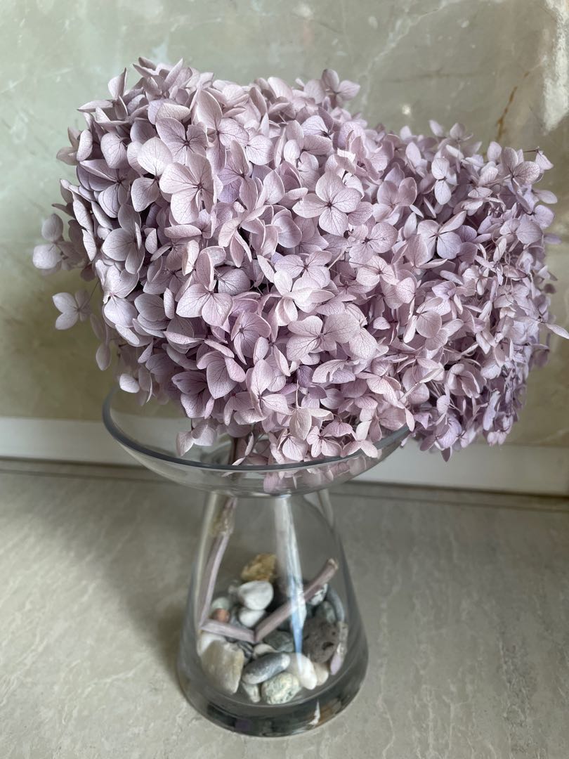 Preserved hydrangea in dusty purple, Furniture & Home Living, Home ...
