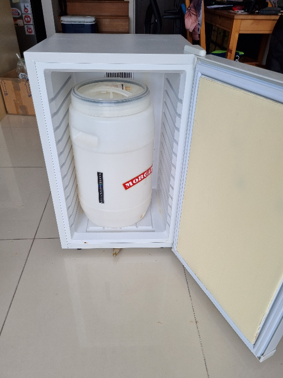 Complete homebrew beer kit (including fridge for fermentation), TV ...