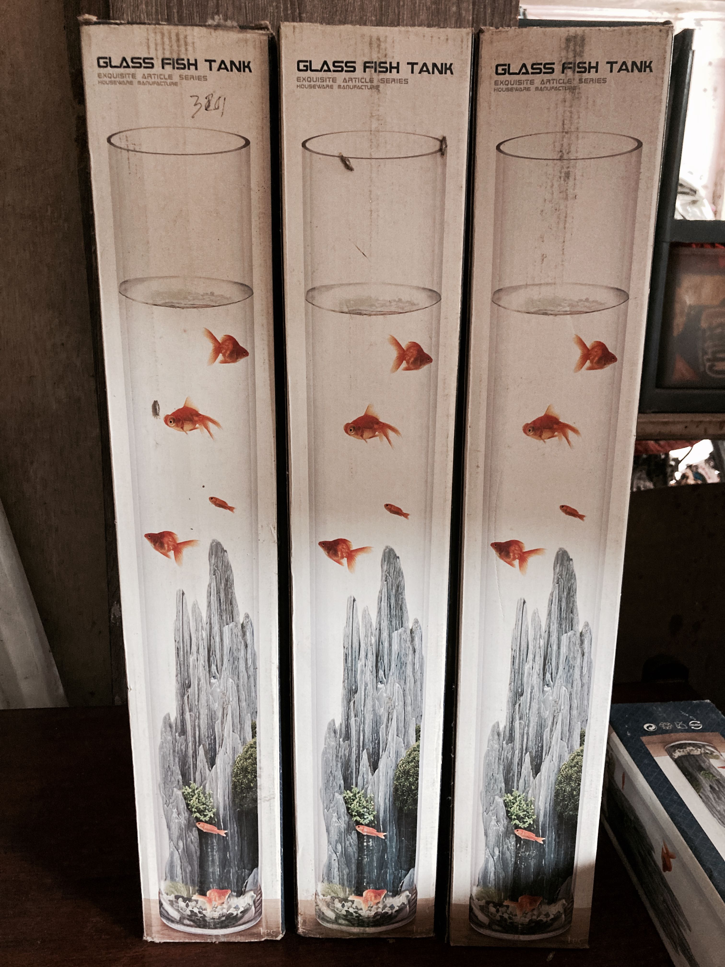 Cylindrical glass tank, Furniture & Home Living, Home Decor, Vases ...