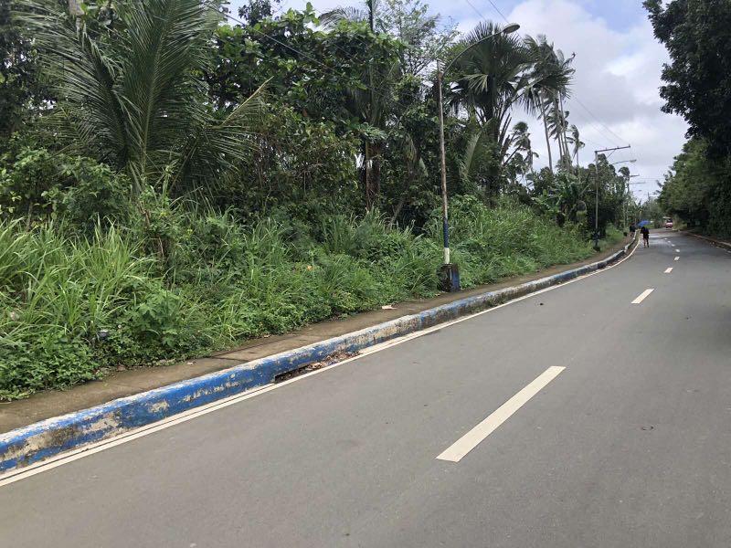 For Sale Lot 2.5 Hectares Bulacnin near Balete Exit Lipa Batangas near ...