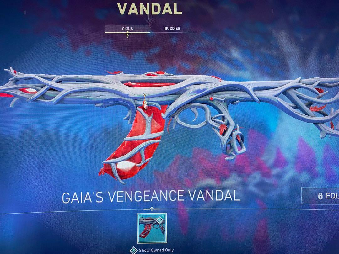 Full Gaia Semi-Stacked Valorant Account, Video Gaming, Gaming ...