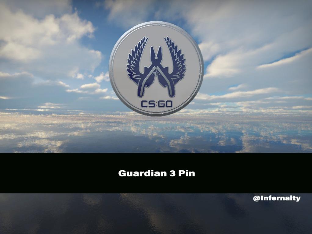 Guardian 3 Pin CSGO SKINS KNIVES PINS, Video Gaming, Gaming Accessories ...