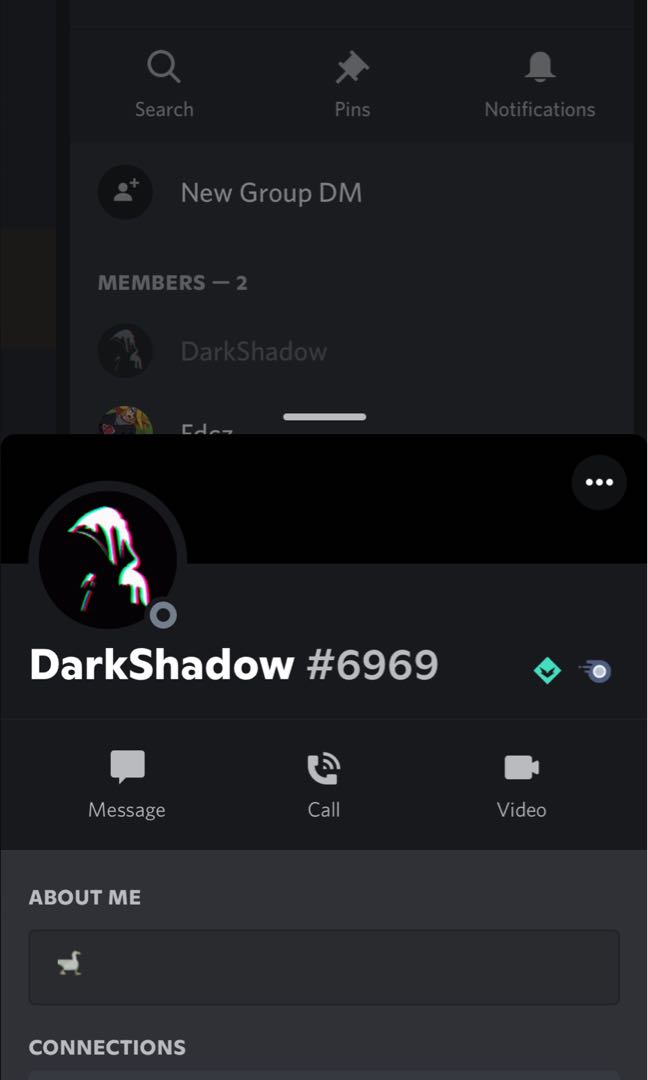Legendary Discord tag, Video Gaming, Gaming Accessories, In-Game ...
