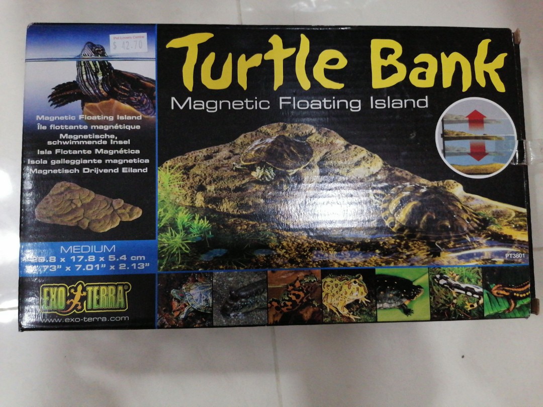 Turtle Bank, Pet Supplies, Homes & Other Pet Accessories on Carousell