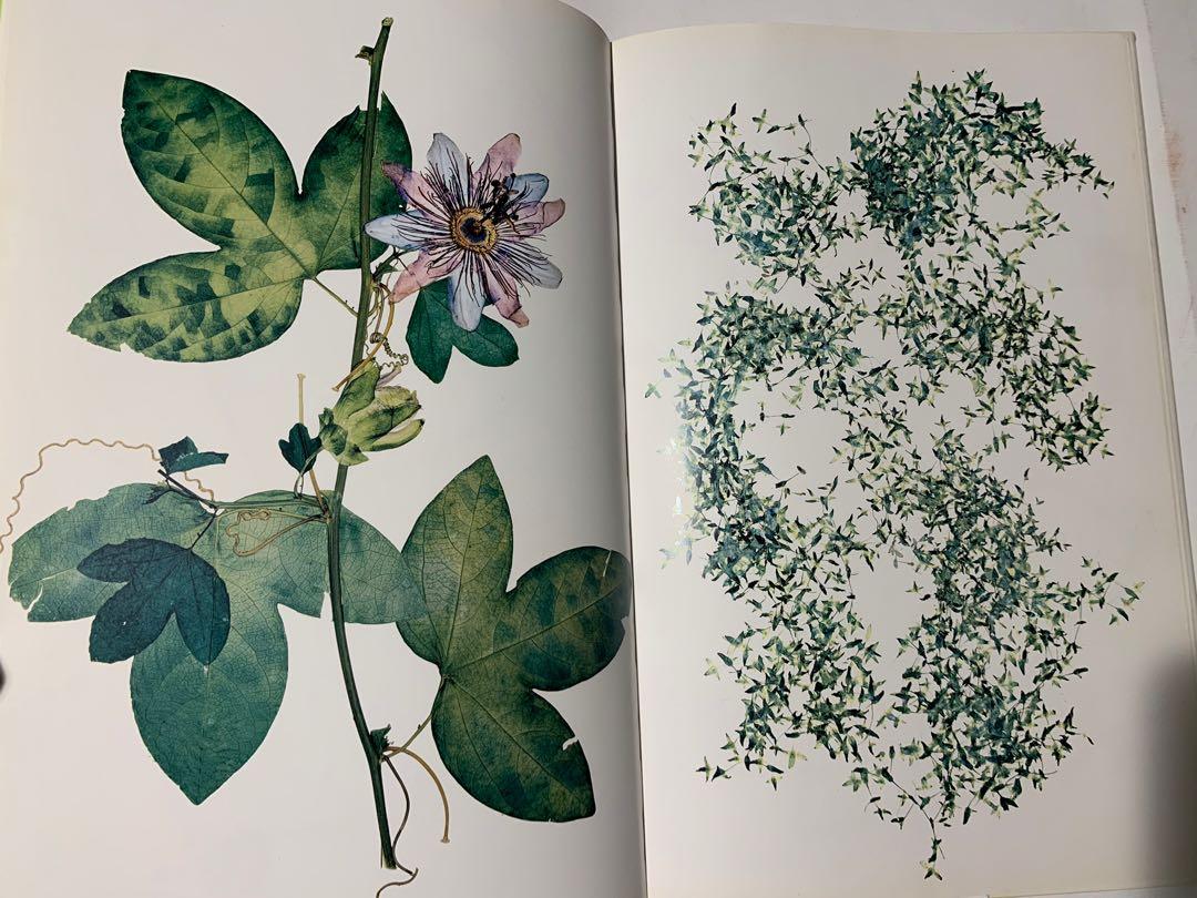 Flora - by nick knight, 興趣及遊戲, 書本 & 文具, 小說 & 故事書 - Carousell