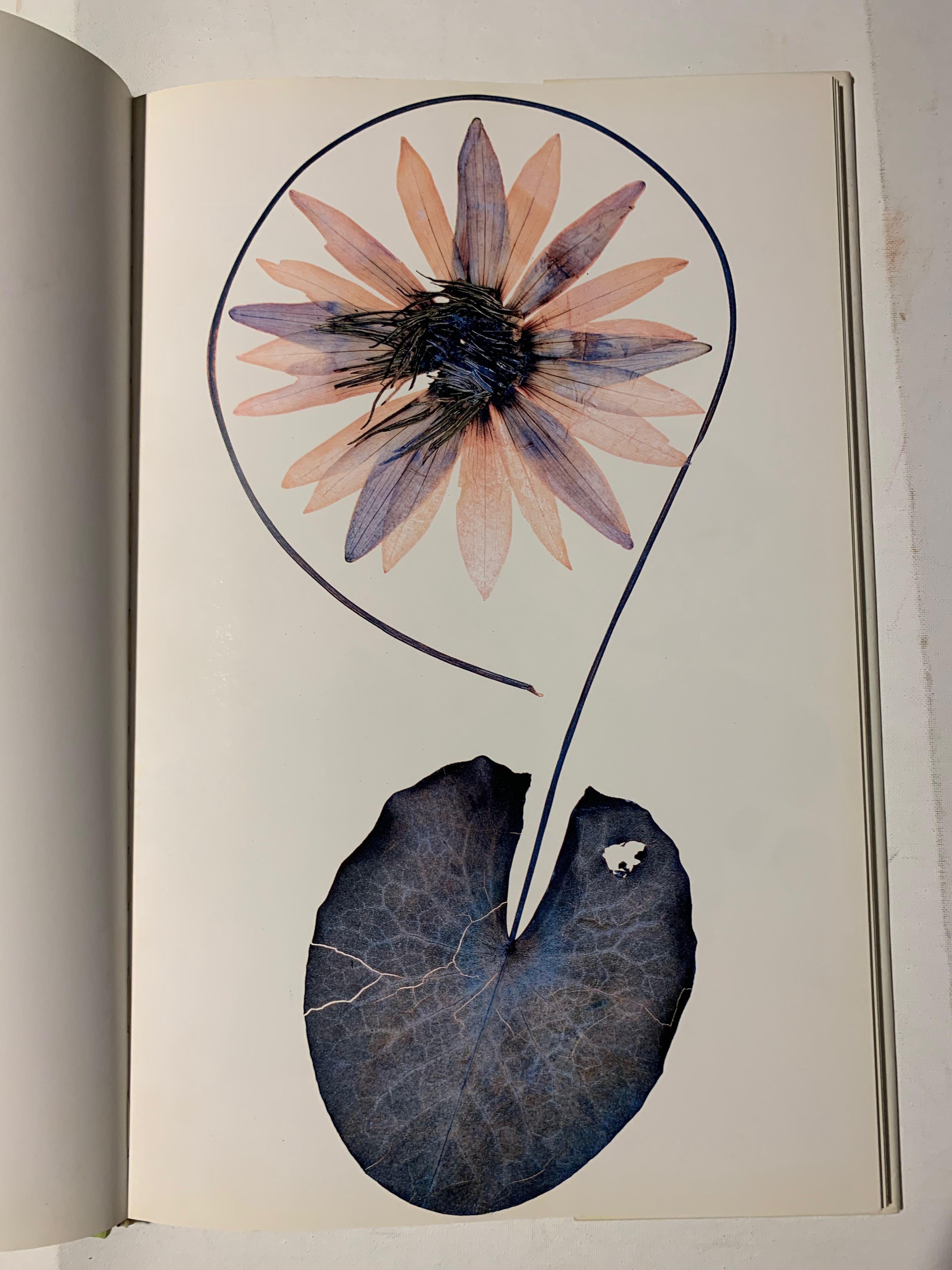 Flora - by nick knight, 興趣及遊戲, 書本 & 文具, 小說 & 故事書 - Carousell